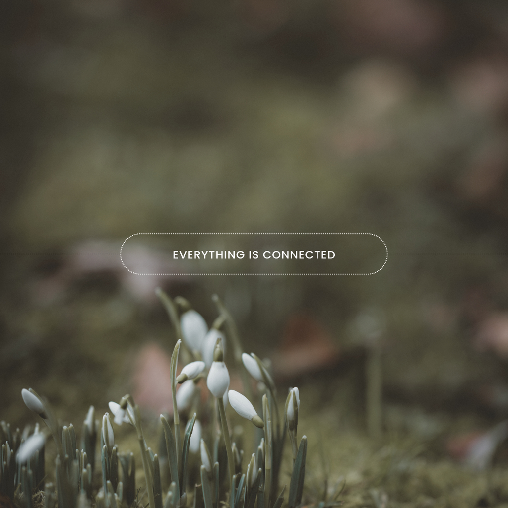 Mother Bloom Collective